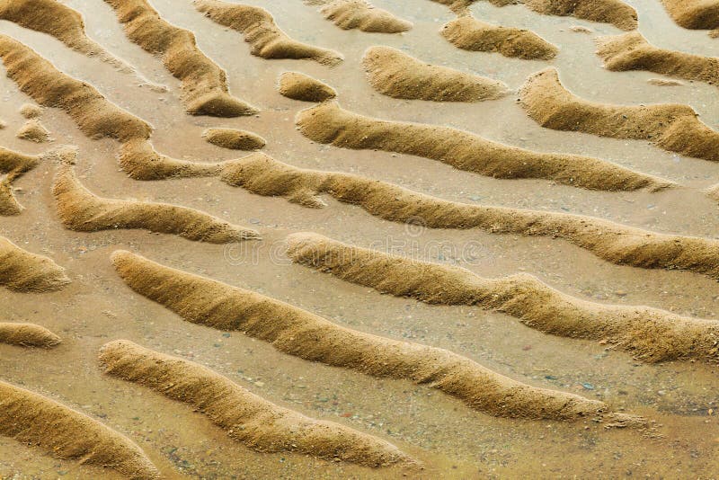 Sand Texture Pattern in the Beach during Sunset. Stock Image - Image of ...