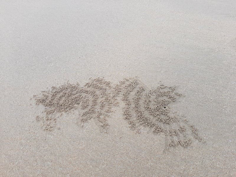 Sand Texture Pattern Made by Crab. Natural Sand Ball Pattern by Crab ...