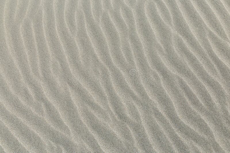 Sand Texture, Sand Patterns in the Desert Stock Photo - Image of nature ...