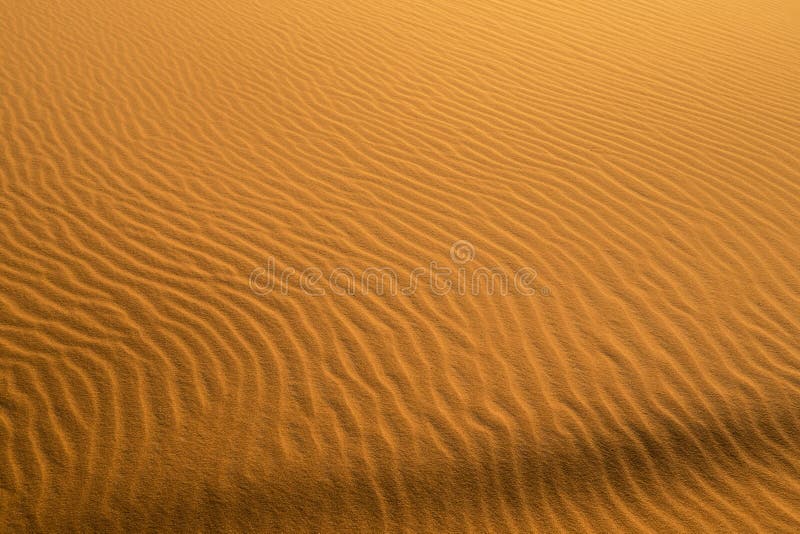 Sand Texture of Sahara Desert Stock Image - Image of sunset, landscape ...