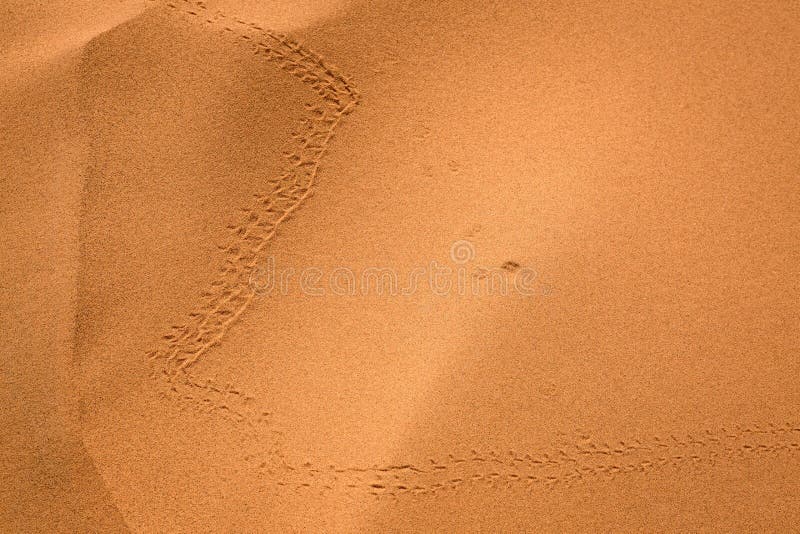 Sand Texture Sahara Desert, Morocco Stock Photo - Image of design ...