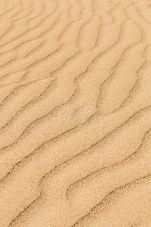 Texture old sandy plaster stock photo. Image of grunge - 103558106