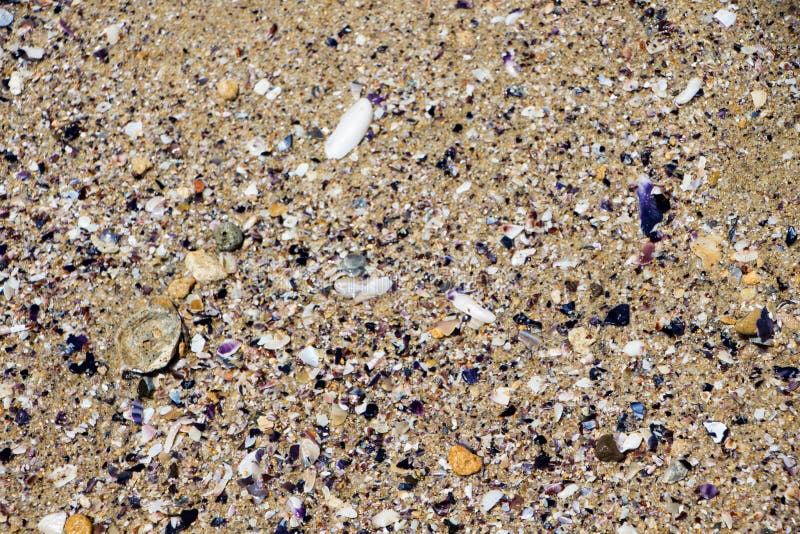 Sand Texture with Sea Shells Stock Photo - Image of pavement, gravel ...