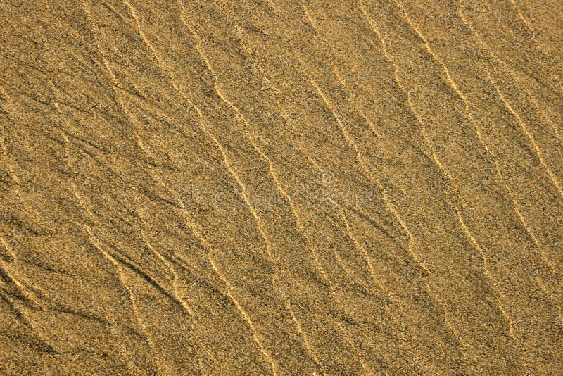Sand Texture series stock photo. Image of sand, deserts - 141754