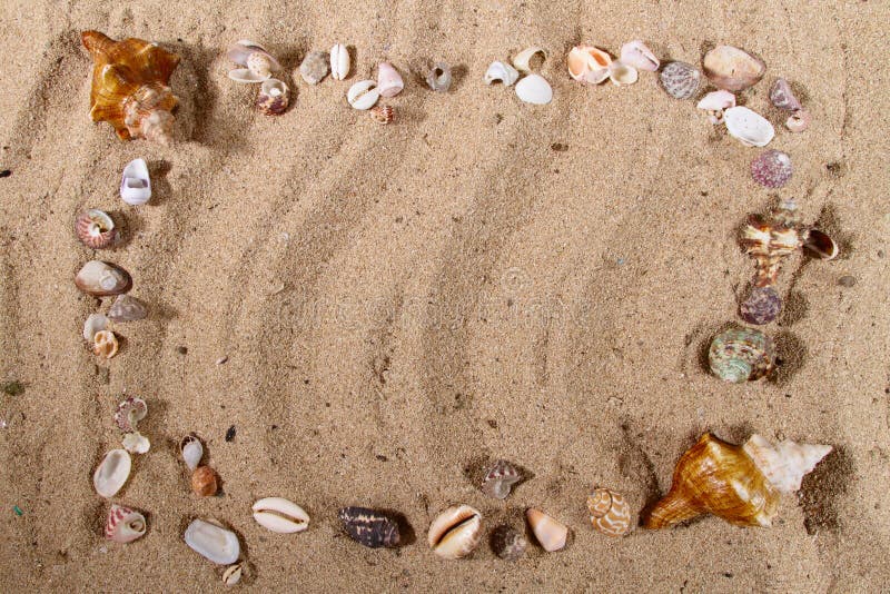 Sand Texture with Shells Framing Stock Photo - Image of beach, season ...