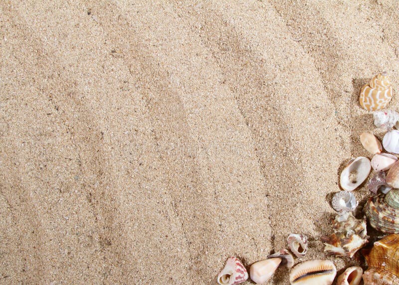 Sand Texture with Shells Framing Stock Photo - Image of blue, beauty ...