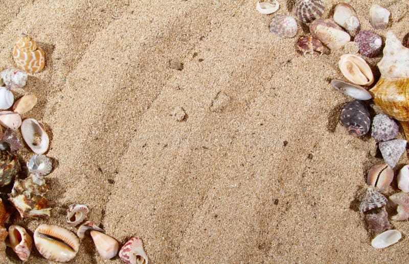 Sand Texture with Shells Framing Stock Image - Image of lifestyle ...