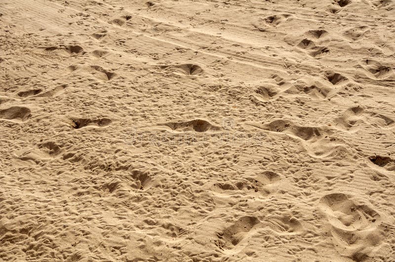 Sand Texture. Soil from a Beach on the Coast of Spain Stock Photo ...