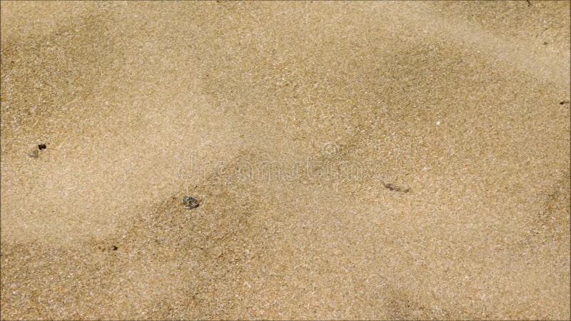 Sand Texture Seamless Loop. Summer Beach Background Stock Footage ...