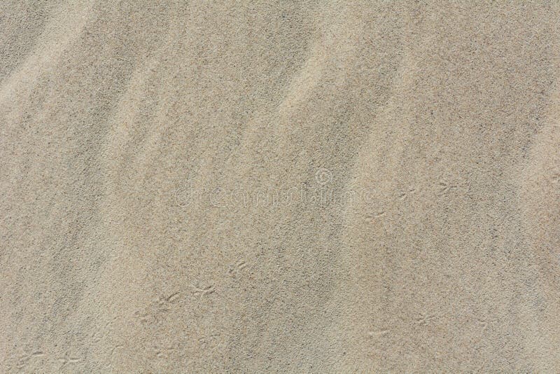 Sand texture top view stock photo. Image of yellow, sandy - 78834580