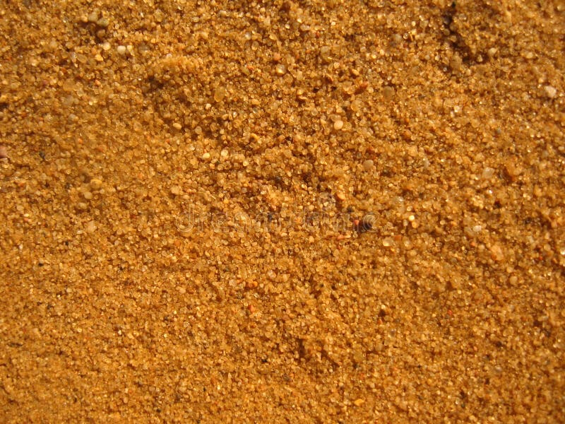 Sand texture in warm light stock image. Image of earthy - 5653365