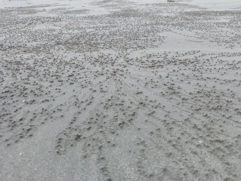 Sand textures stock image. Image of geology, formed - 361669903