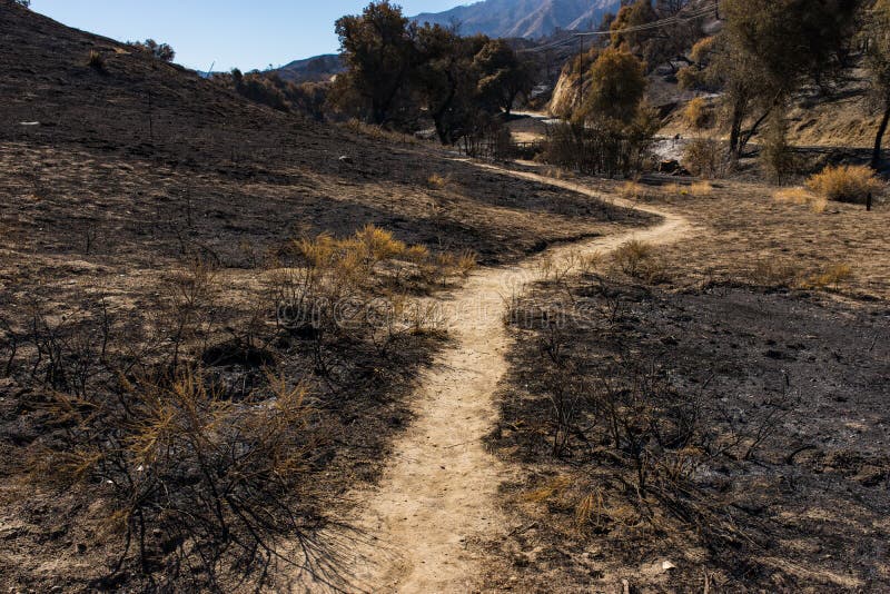 Sand Trail in Wildfire Burn Stock Photo - Image of burn, hills: 75987750