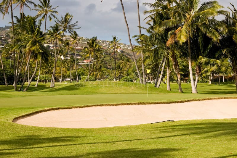 Sand Trap stock photo. Image of heaven, compete, green - 3075626