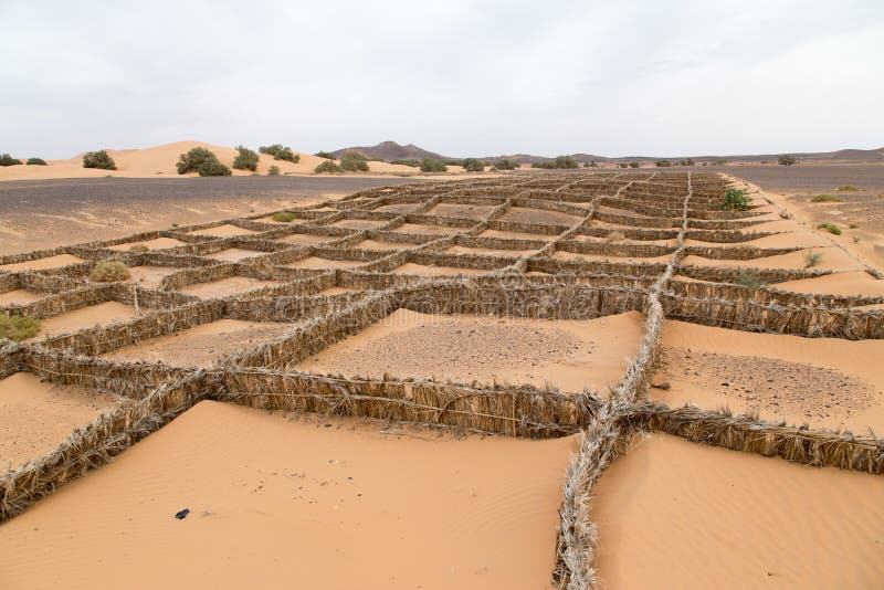 Sand Trap in the Desert in Morocco Stock Photo - Image of ecology ...