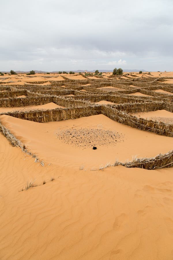 Sand Trap in the Desert in Morocco Stock Image - Image of ecology ...