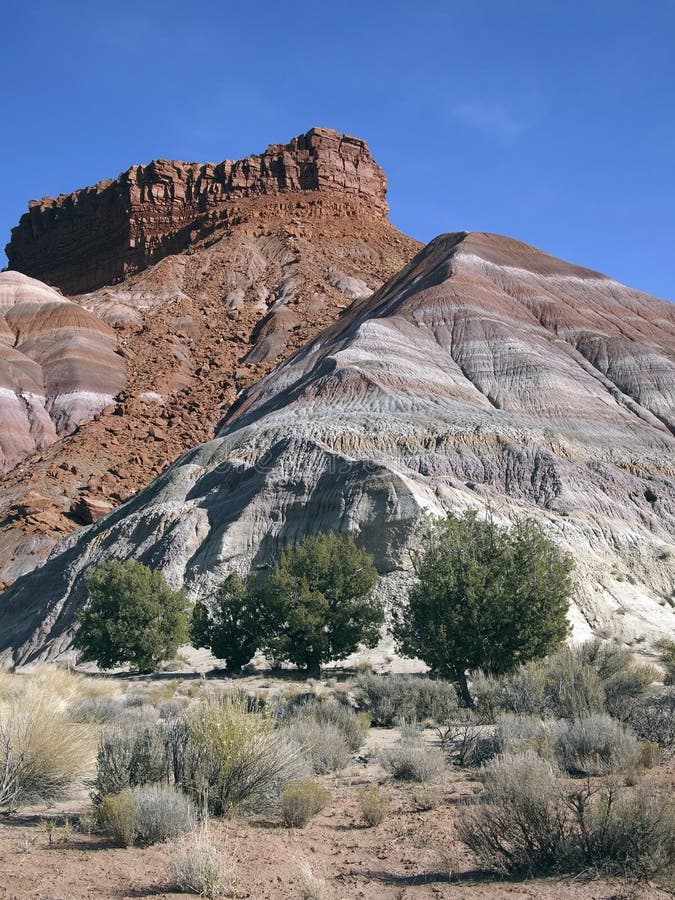 Sand and Trees stock image. Image of butte, sandstone - 22353885