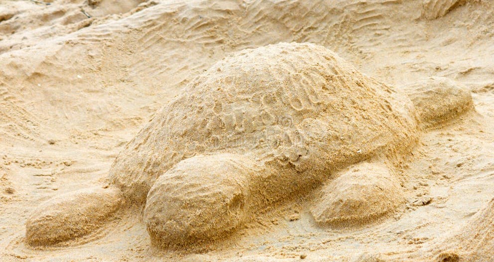 Sand Turtle stock image. Image of recreational, carved - 28906365