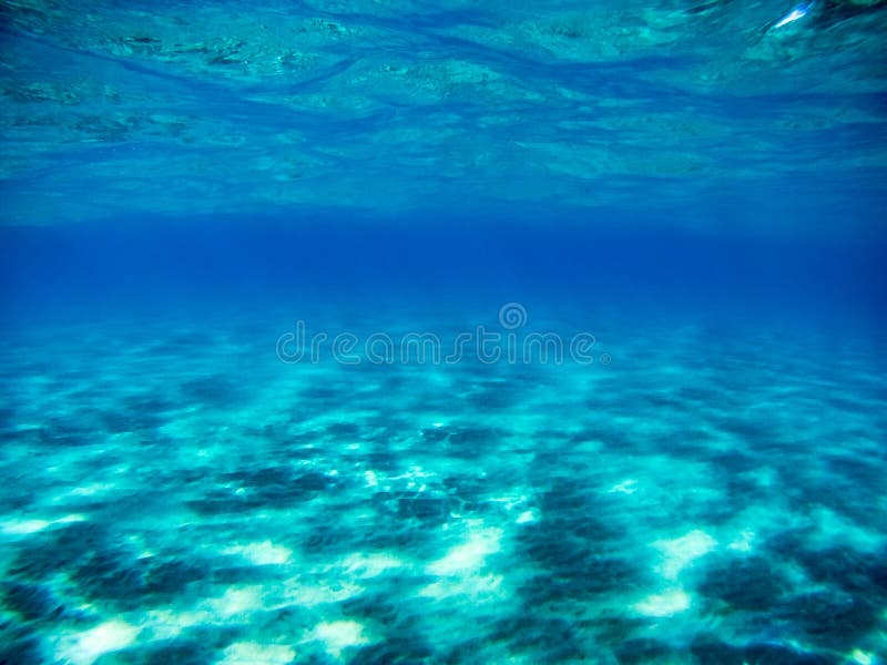 Sand under sea stock image. Image of light, reefshark - 180905891