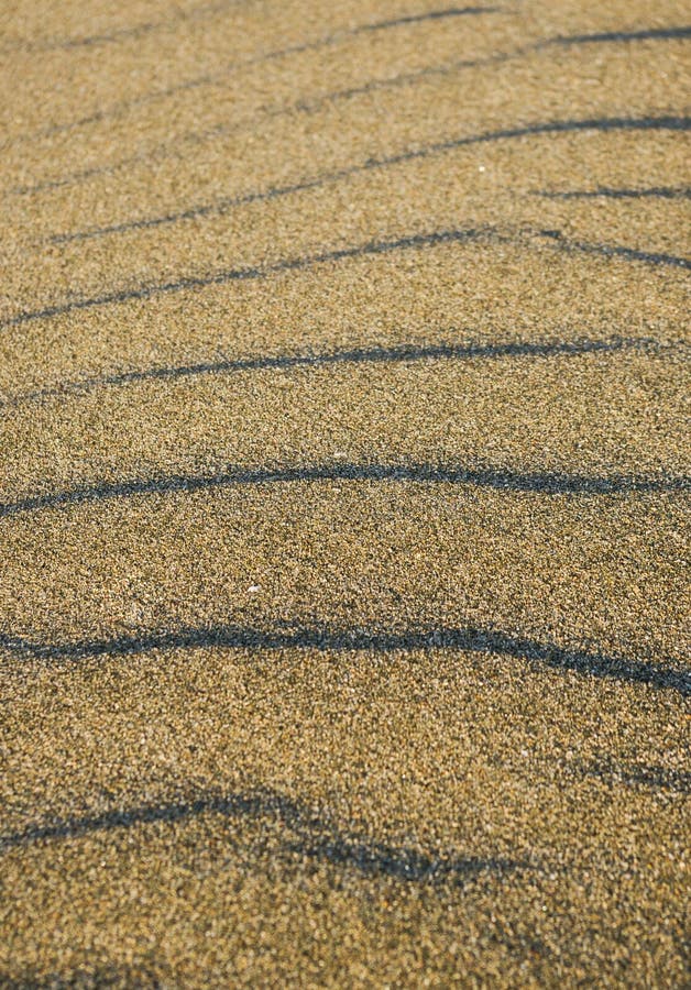 Ripple Sand Under Sunshine. Stock Image - Image of ocean, holiday: 59084283
