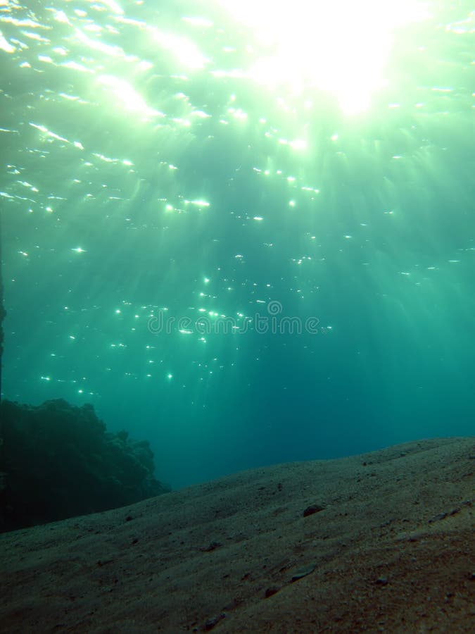 Sand Underwater stock photo. Image of school, immerse - 9259900