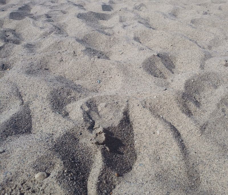 Sand Up Close stock image. Image of beach, close, sand - 208210509