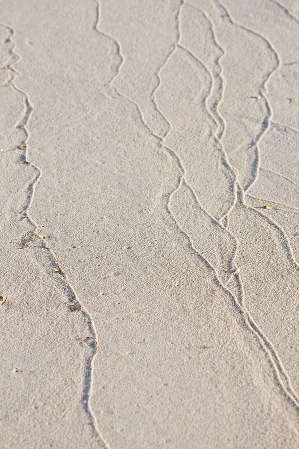 Sand veins stock photo. Image of sand, formation, cracks - 5725906