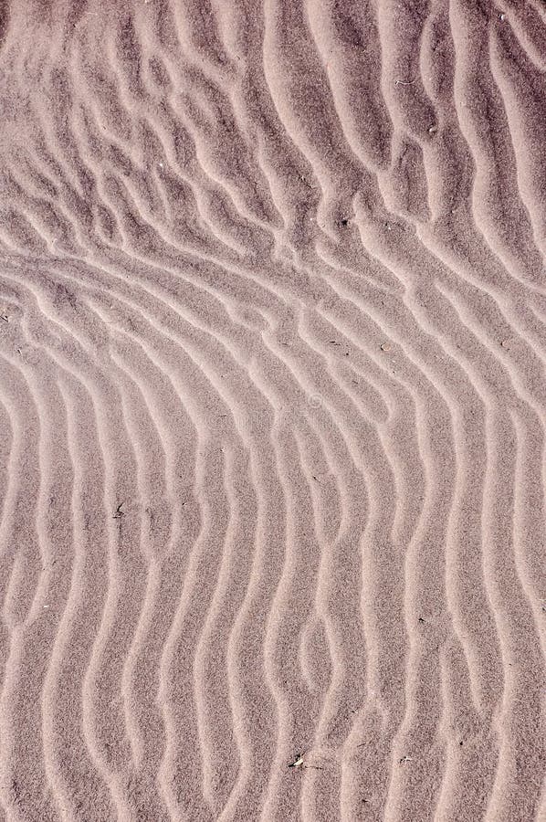 The Sand is Very Fine and the Texture is Very Smooth Stock Photo ...