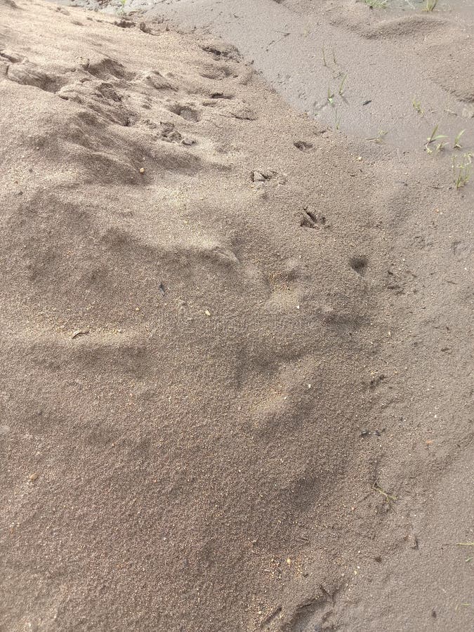 Sand is a Very Important Material in Building Construction Stock Image ...