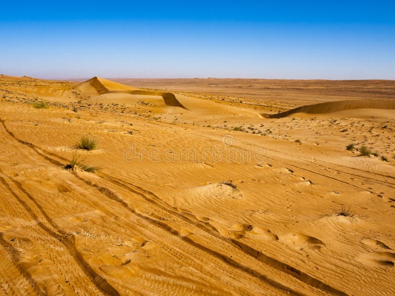 Sand stock photo. Image of camel, wind, oman, dawn, wahiba - 90543030