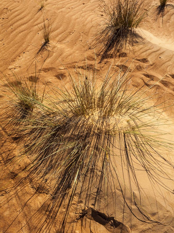 Sand stock photo. Image of orange, shadow, track, freedom - 90543326