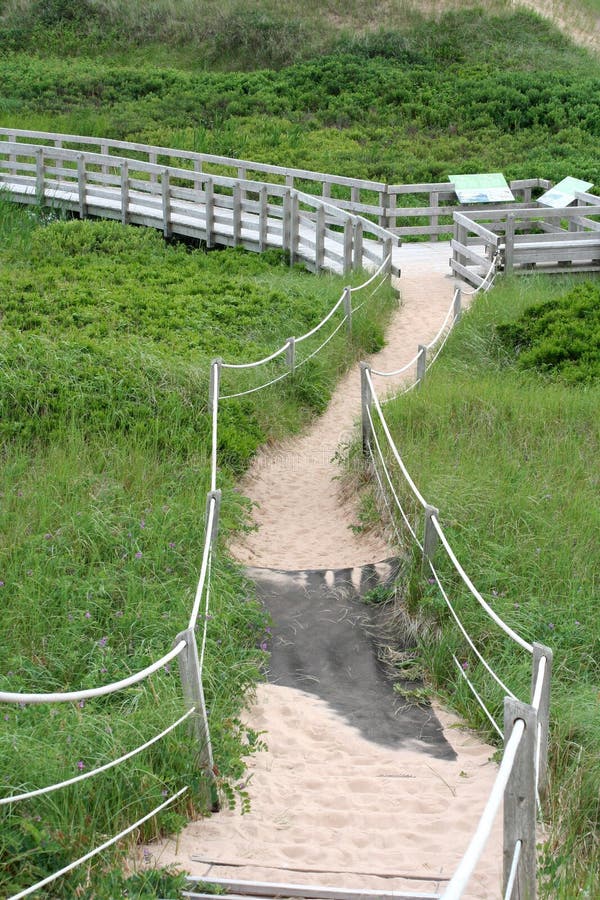 Sand Walkway stock image. Image of peaceful, natural - 19639405