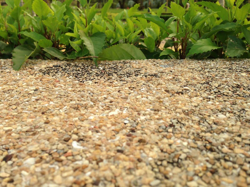 Sand Wall Background Texture with Natural Bush Over Frame Stock Photo ...