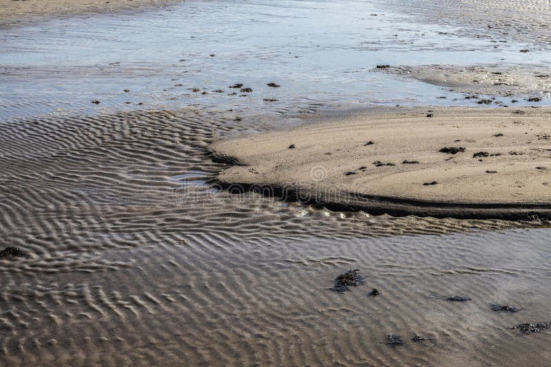 Shore, Sand, Water, Mudflat Picture. Image: 106402546