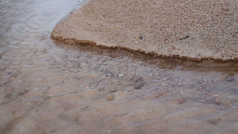 Sand and water flow stock video. Video of pretty, coastal - 62242435