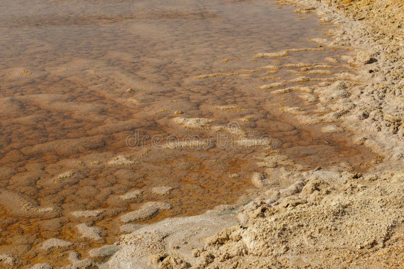 Muddy Sand Texture Salt Cristals Stock Photos - Free & Royalty-Free ...