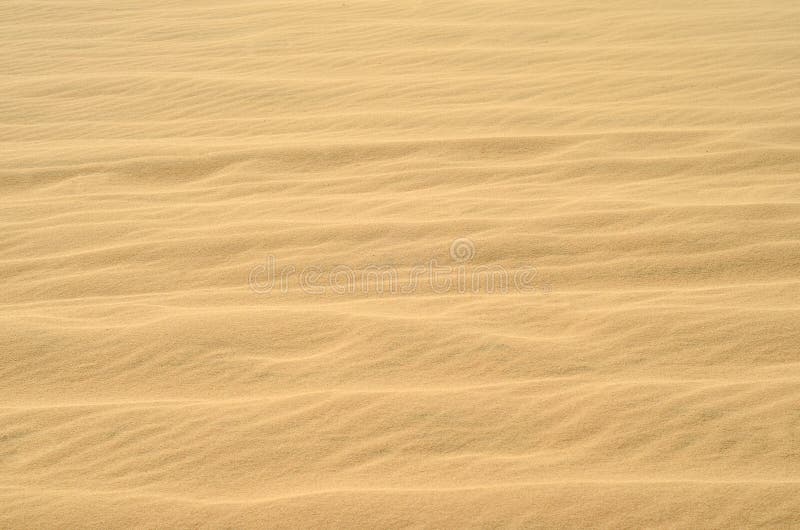 Sand Wave Texture of Nice Pale Golden Color Stock Photo - Image of ...