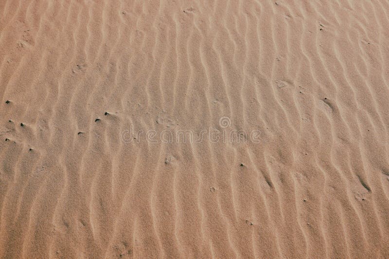 Sand Wave Wind for Natural Sandy Low Tide Beach Background Stock Image ...