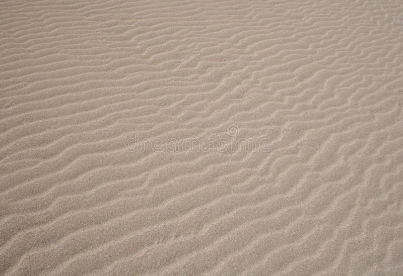 Sand Waves Picture. Image: 6163848