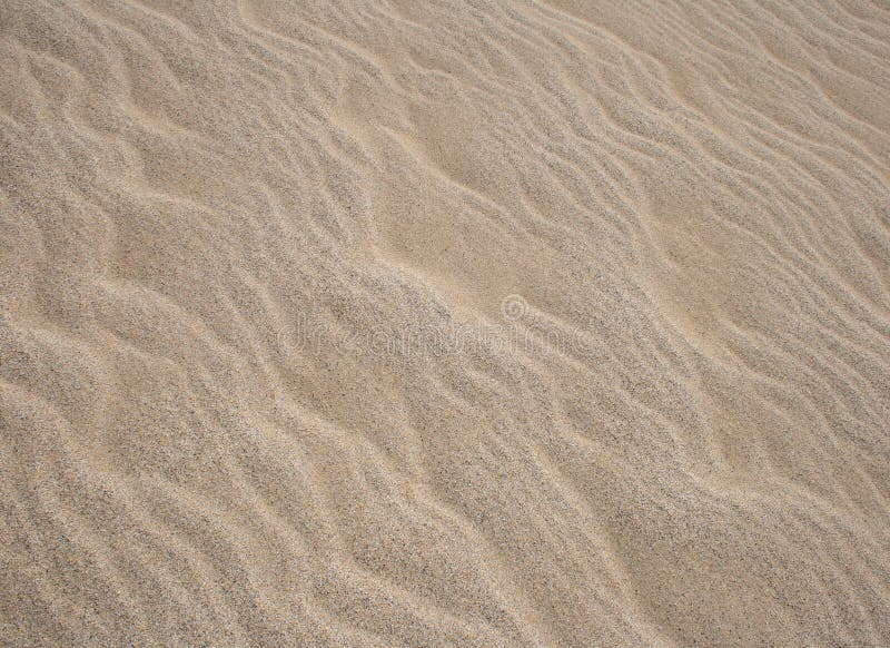 Sand Waves Picture. Image: 6164129