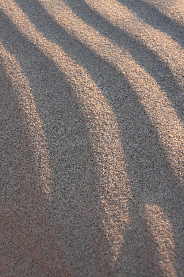 Sand waves stock photo. Image of ripple, desert, solitude - 8565112