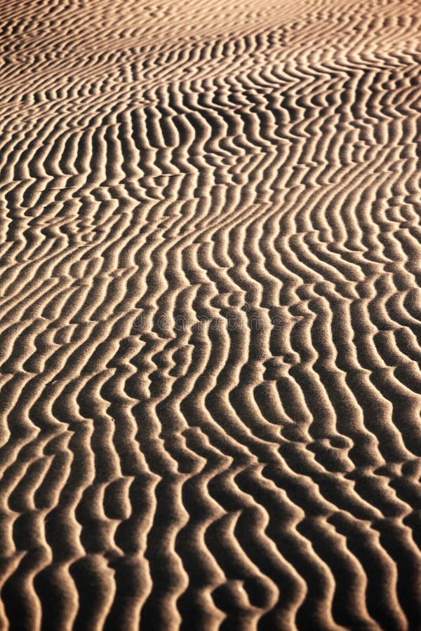 Sand waves in desert stock photo. Image of wind, dune - 15144534
