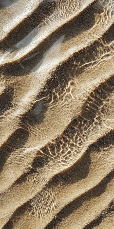 Sand Waves and Ripples Reflecting Sunlight Create a Serene Pattern for ...