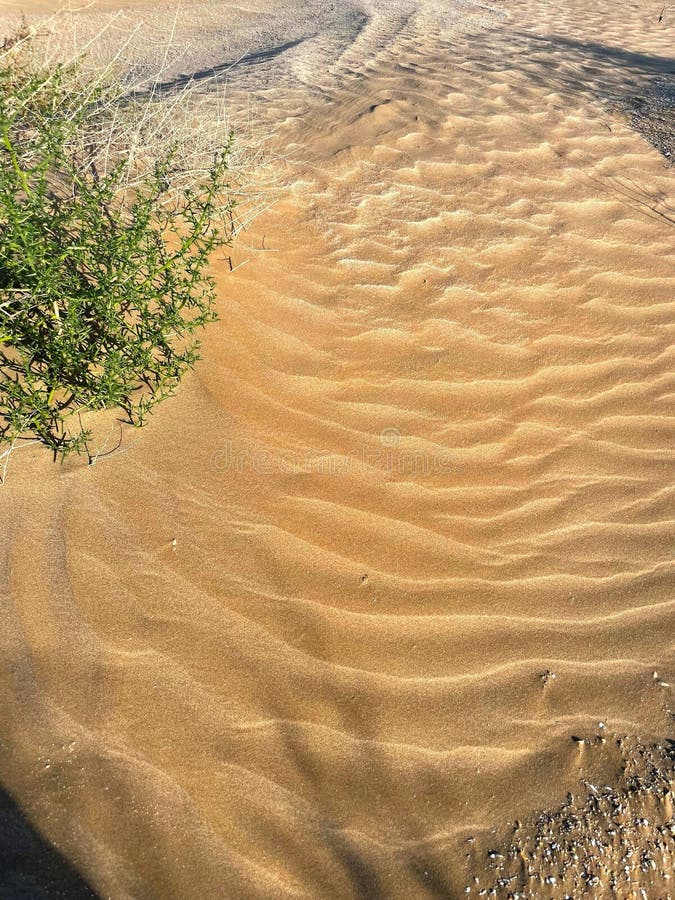 Sand Waves. from the Series Nature As it is Stock Photo - Image of rock ...