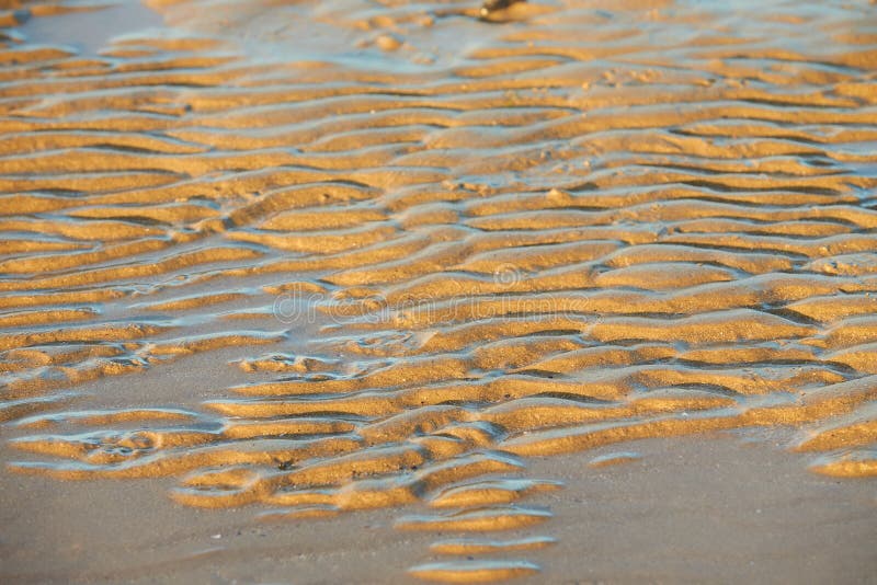 Sand Waves Texture with Water on the Sea Beach. Yellow Sand Texture for ...