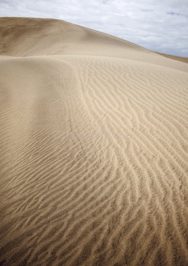 Sand and Wind collage stock photo. Image of coastal, decorative - 96313304