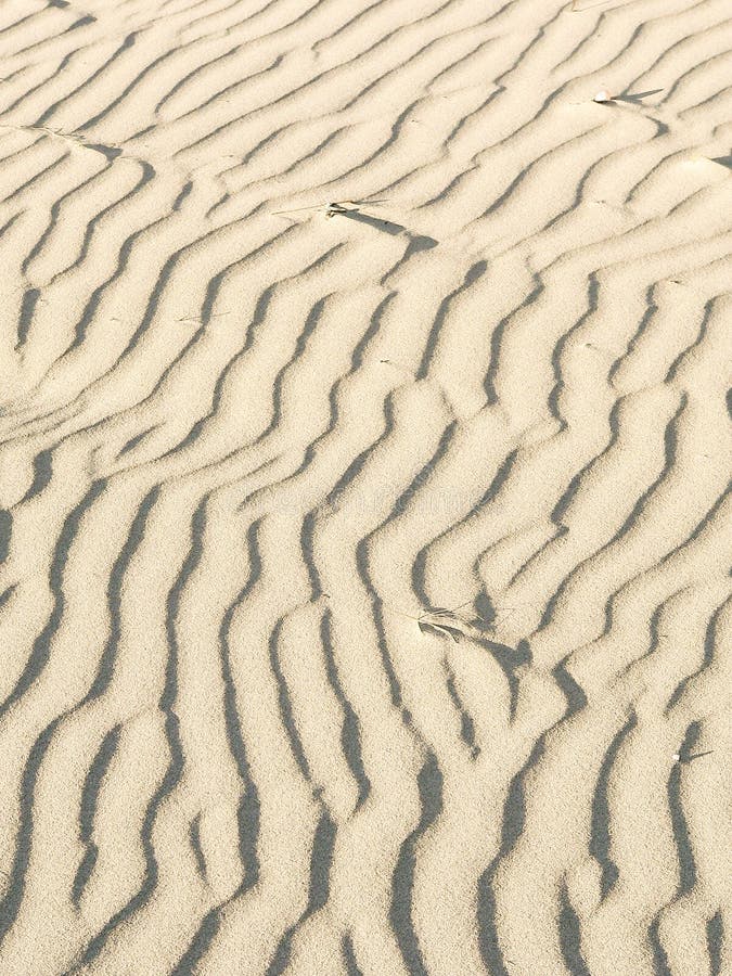 Sand and wind stock image. Image of sinuous, scratched - 45760029