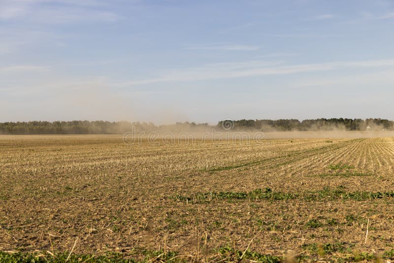 Sand in Windy Weather Fly Over the Ground Stock Photo - Image of farm ...