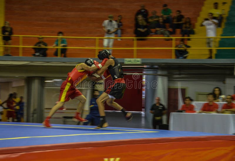 Sanda Fighter Throws Opponent from the Ring Editorial Stock Image ...