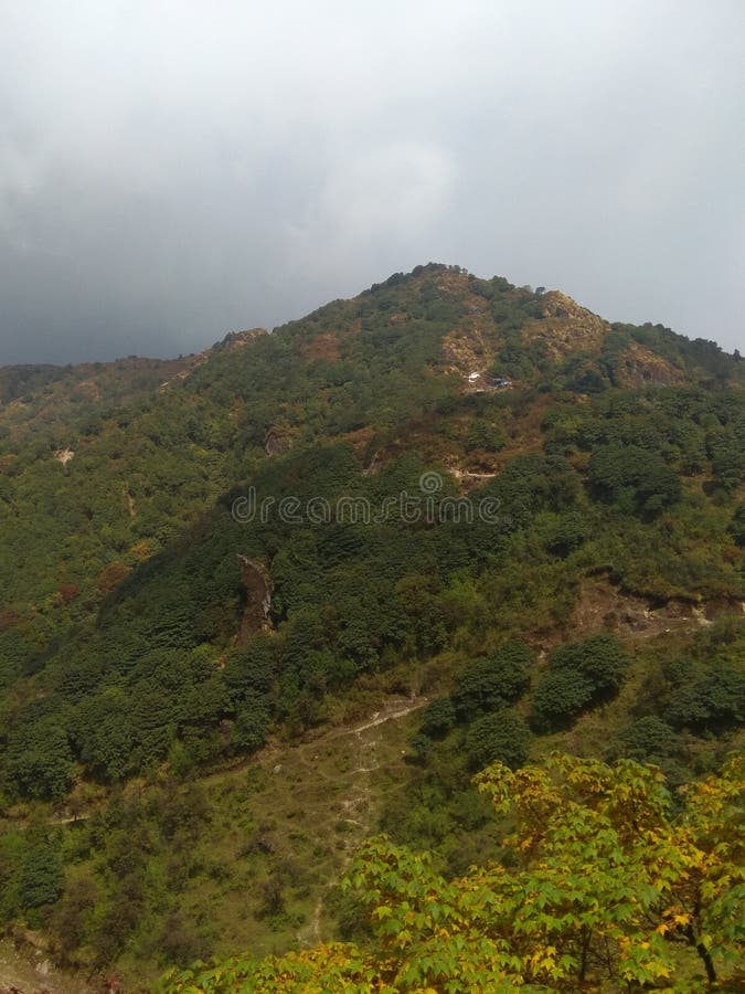 Sandakpur Stock Photos - Free & Royalty-Free Stock Photos from Dreamstime